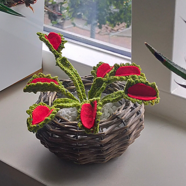 Ravelry: Venus Flytrap pattern by Simone Spinner