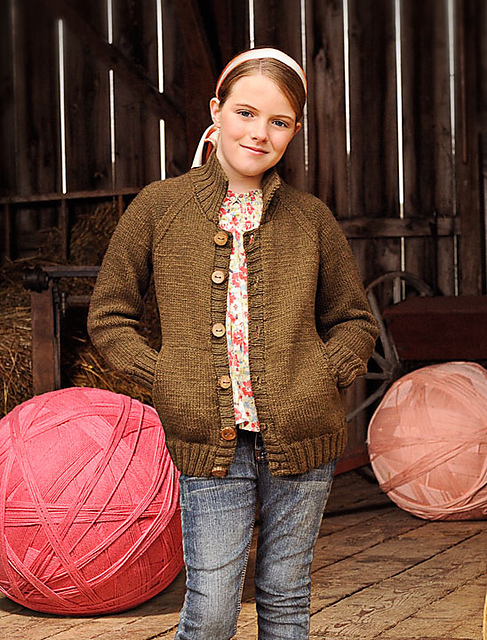 Ravelry: Best Friend Sweater pattern by Alana Dakos