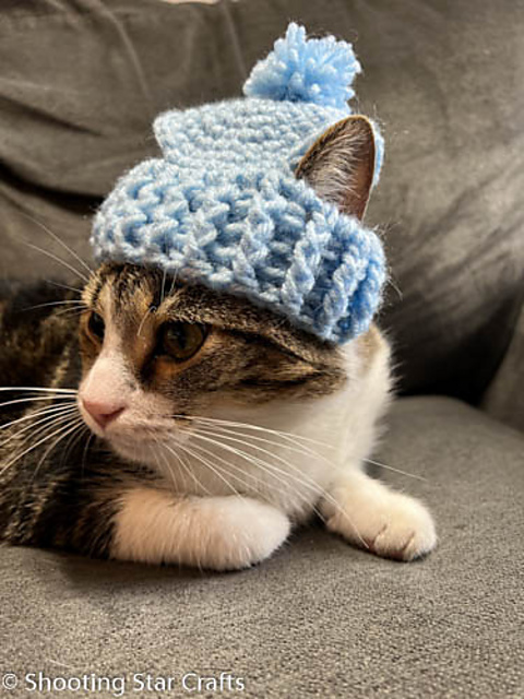 Ravelry: Large Hat for Cats pattern by Cari Lam