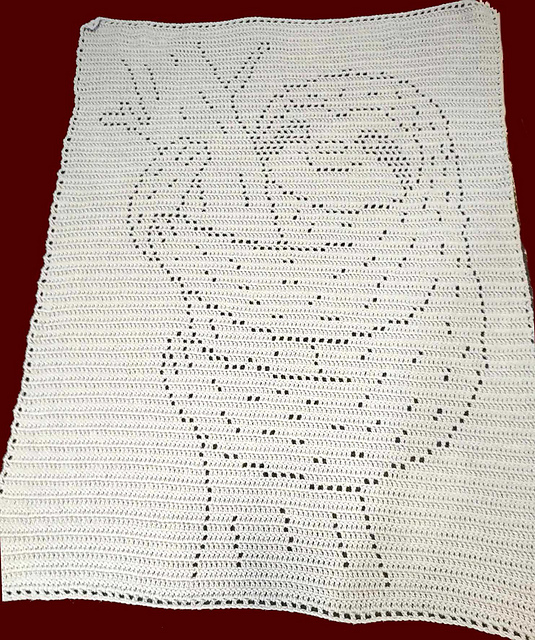 Ravelry: Sloth Filet Blanket pattern by Carla Gasson