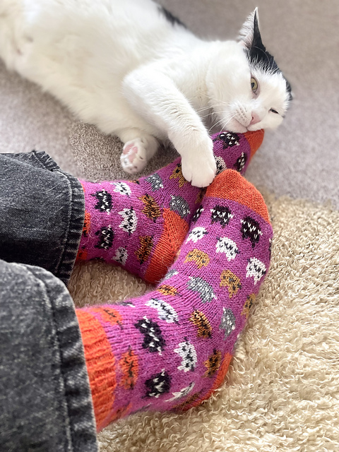 Ravelry: Purr-fect socks pattern by Stone Knits