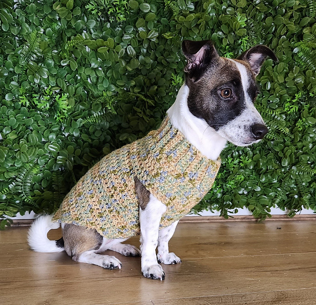 Ravelry: Ledger Dog Sweater pattern by Tammy Shields