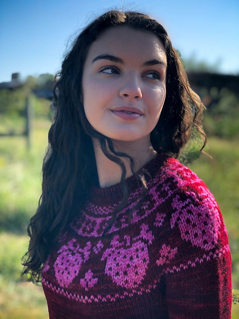 Ravelry: Strawberry Season Pullover pattern by Tanis Gray