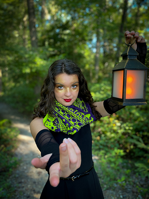 Ravelry: Haunted Mansion Cowl pattern by Tanis Gray
