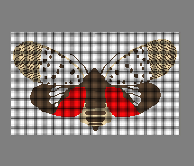 Ravelry: Spotted Lanternfly Tapestry pattern by Stacie Renda