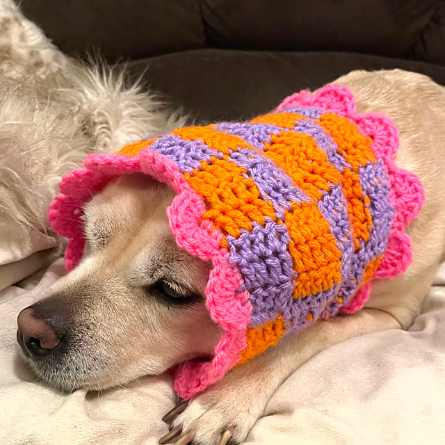 Ravelry: Checkered Dog Snood pattern by The Disco Loop
