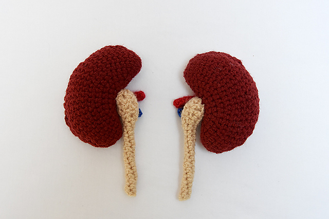 Ravelry: Kidneys pattern by Joyce Overheul