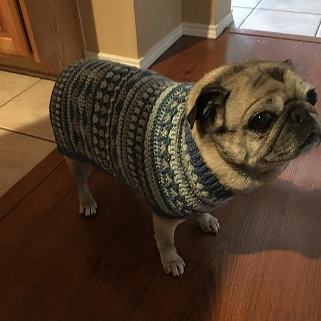Ravelry: TinasAllsorts' Well Dressed Dog Coat