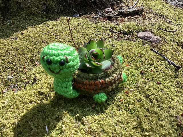 Ravelry: Turtle Planter pattern by Traveling Hooker