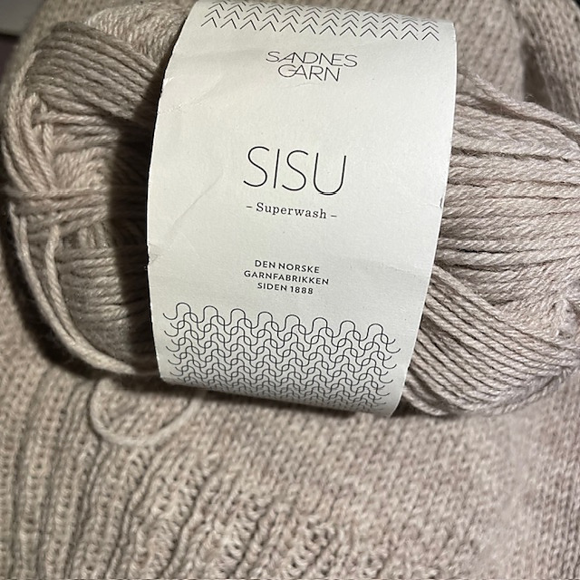 Ravelry: Troila's Sockhead Slouch Hat