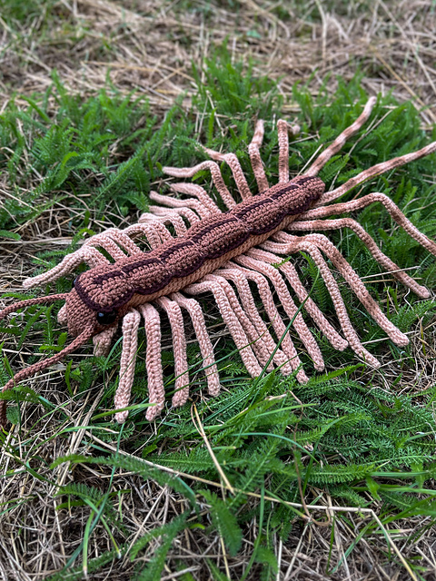 Ravelry: House Centipede pattern by Anna Sytnikova