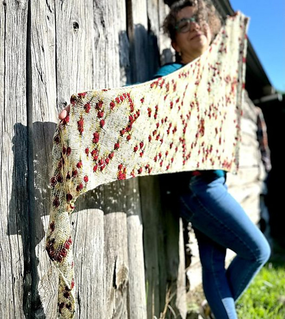 Ravelry: Châle Fleurs pattern by Stéphanie Jefford