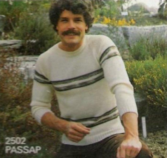 Ravelry: 2502 Raglan sweater pattern by Passap Design Team