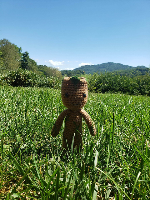 Ravelry: Groot pattern by LeeAnn James
