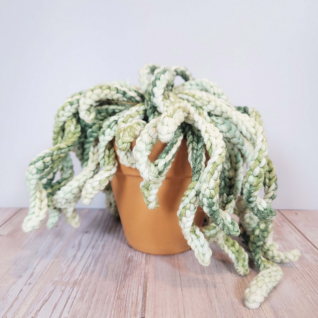 Ravelry: Simple Spider Plant pattern by Victoria Blalock