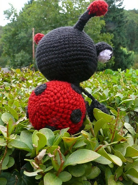 Ravelry: Bug Eyed Ladybug pattern by Erin Clark