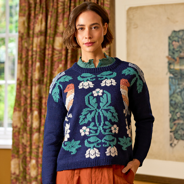 Ravelry: Bird Jumper pattern by Birch + Bliss
