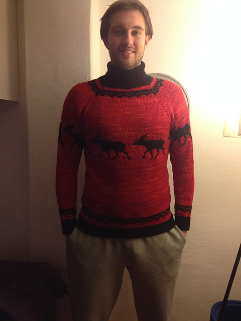 Ravelry: Waldorff's Moose sweater