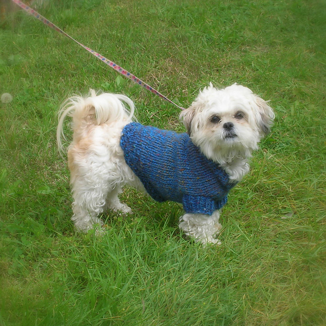 Ravelry: Puppy Sweater to Match Mom's pattern by Wee Sandy