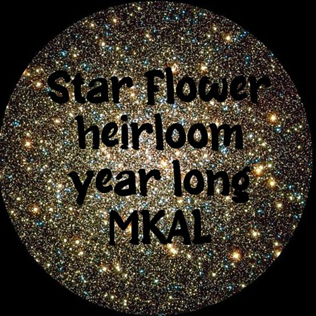 Ravelry: Star Flower pattern by Wendy McDonnell