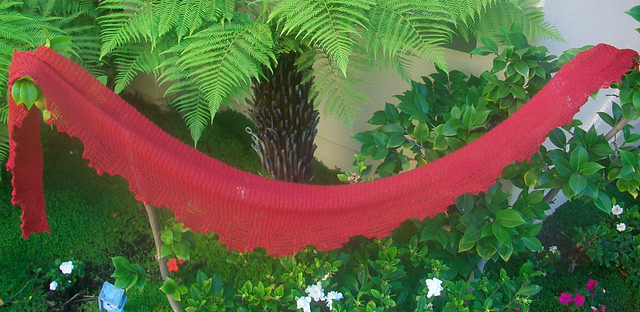 Ravelry: Toro Toro Shawlette pattern by Pam Jemelian