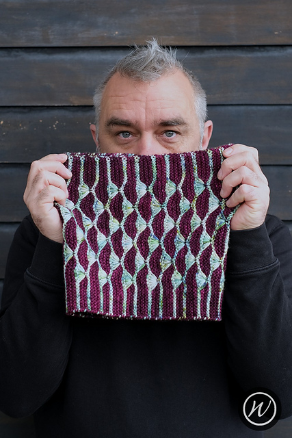 Ravelry: Diponaea Compagne pattern by Tom Paterson