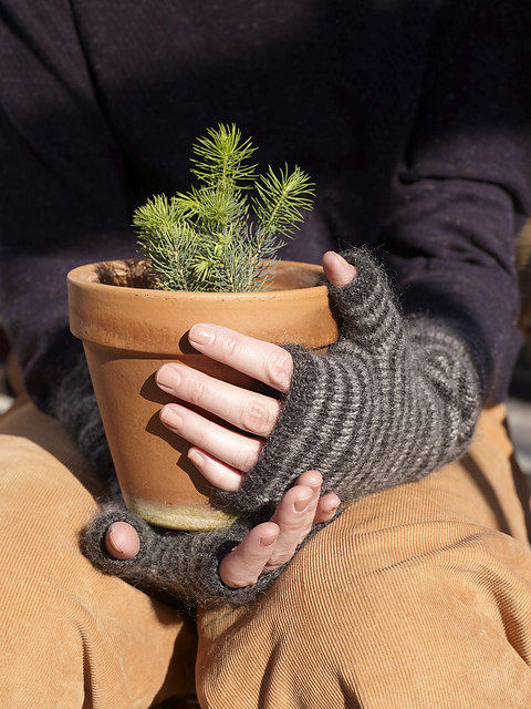 Ravelry: Strimma pattern by Erika Åberg