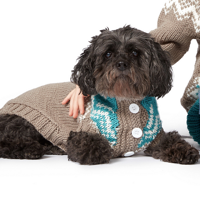 Ravelry: Fair Isle Dog Coat pattern by Yarnspirations Design Studio