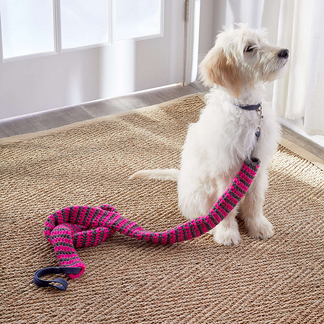 Ravelry: Reflective Dog Leash Cover pattern by Corina Gray