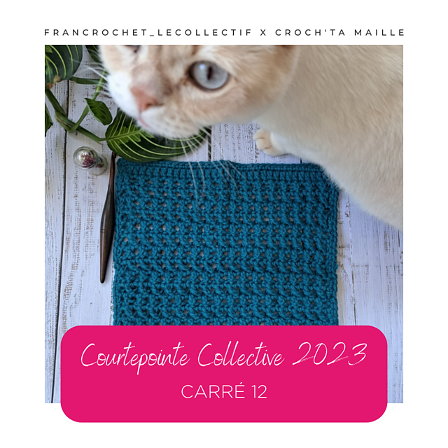 Ravelry: Carré Twisté pattern by Emilie OUDARD