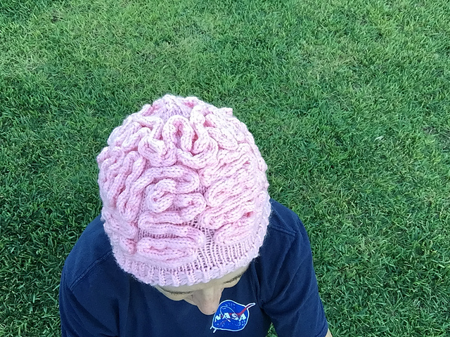 Ravelry: alpacagal's Brain Hat
