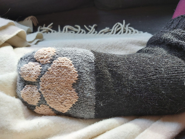 Ravelry: Toe Beans are for Everyone pattern by Arianna Mao