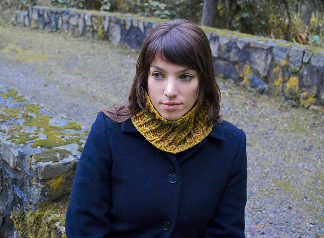 Ravelry: Diversify pattern by Andrea Rangel