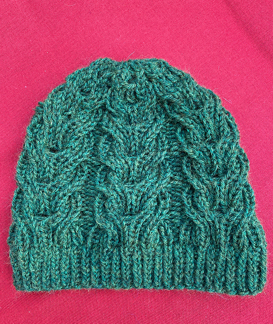 Ravelry: Fun Reversible Cables Hat pattern by Anna Singur