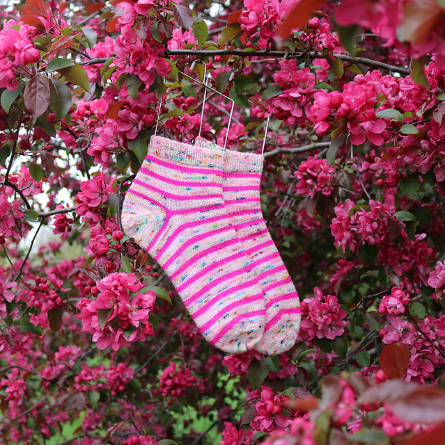 Ravelry: Bedrock Socks pattern by Anna Stephenson