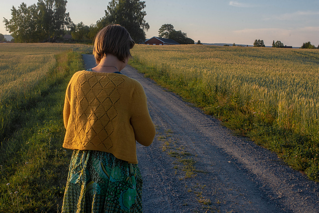 Ravelry: Nøttejakka pattern by Anne Tvedt