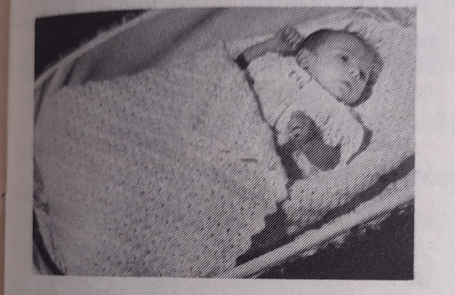 Ravelry: Two color Baby Afghan pattern by Workbasket Magazine