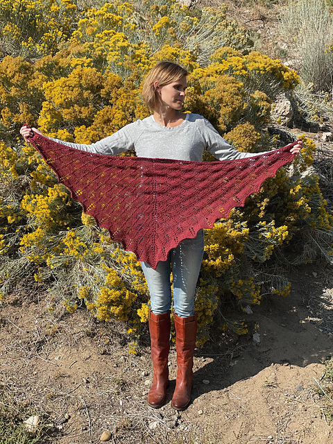 Ravelry: It's Shawl Y'all pattern by Betsy App