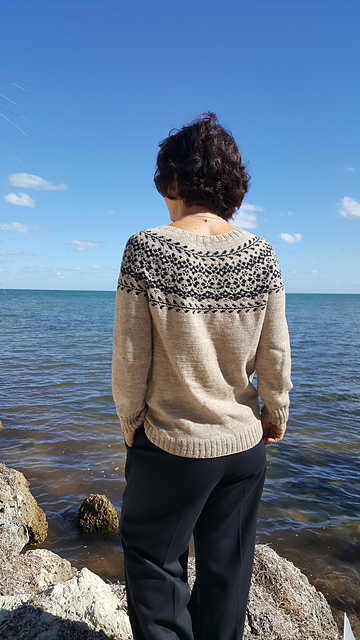 Ravelry: barkingknitter's Birkin