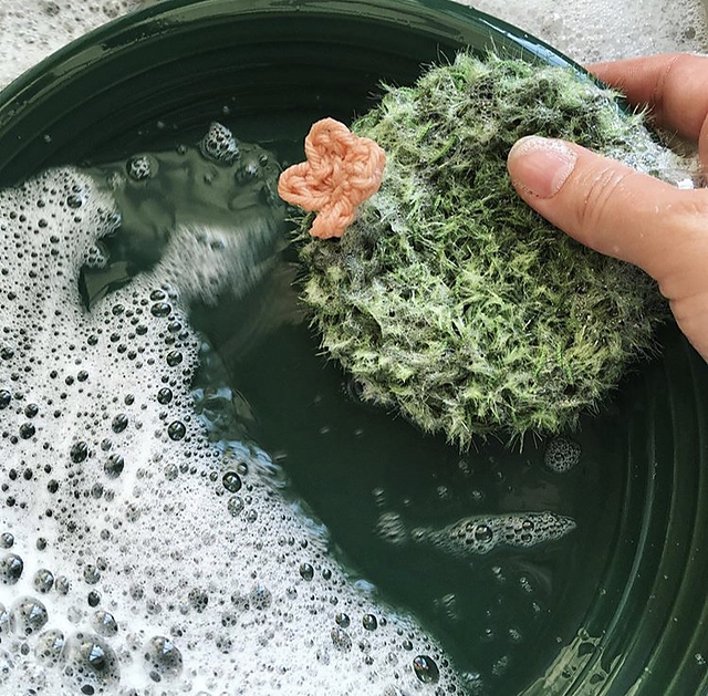 Ravelry: Cactus Dish Scrubbies pattern by Chenoah Ramey