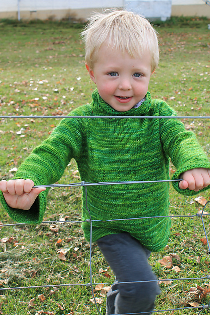 Ravelry: Toby Sweater pattern by Holly Stevens