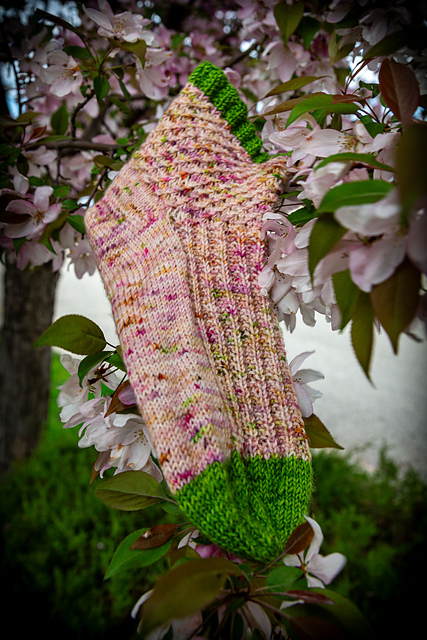 Ravelry: Crab Apple Blossoms Socks pattern by Bethany Tiner
