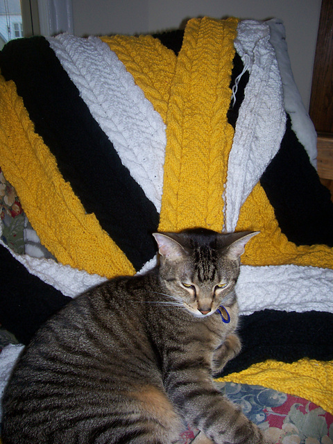 Ravelry: Baby Afghan pattern by Evie Rosen