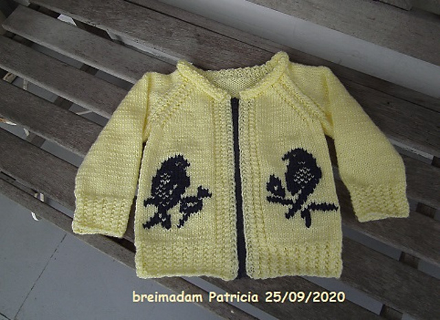 Ravelry: Yellow Cardigan pattern by de breimadammen