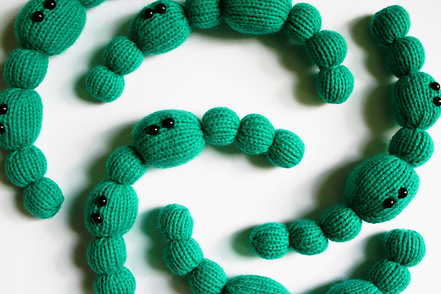 Ravelry: Cyanobacteria Filament pattern by Butterflylove1