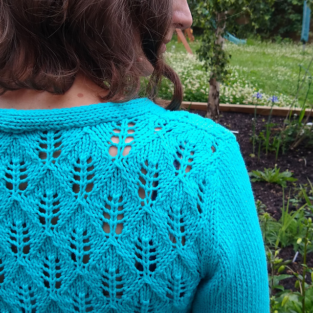 Ravelry: Pine Forest Cardigan pattern by Catriona Stevenson