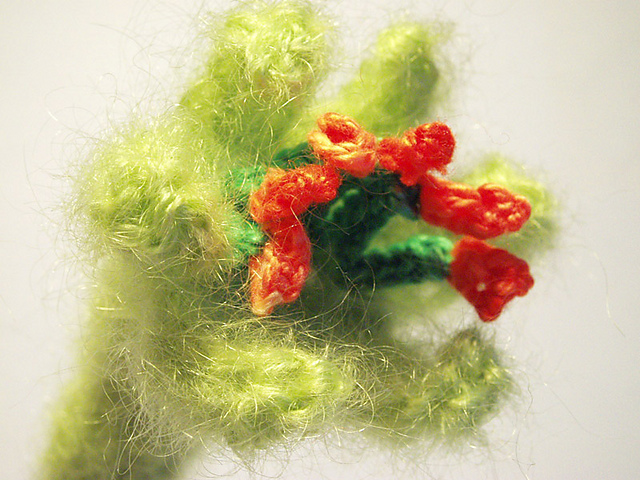 Ravelry: Green Kangaroo Paw pattern by Camelia Shanahan