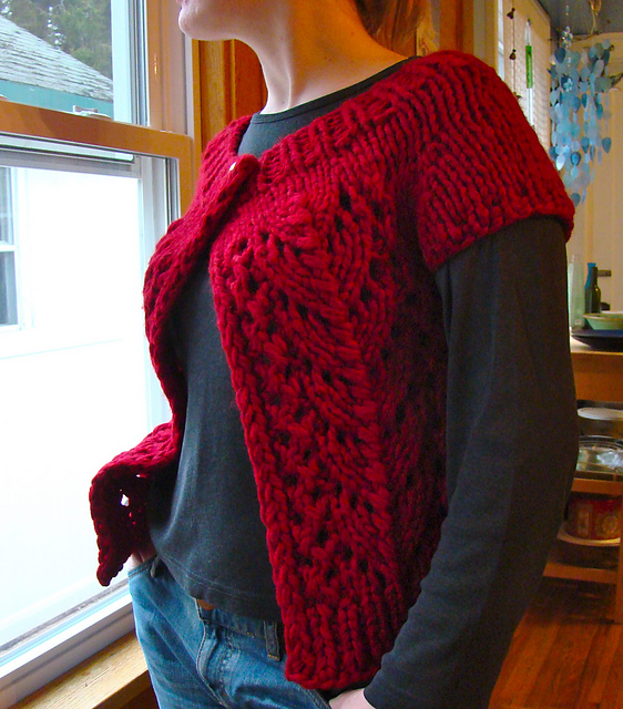 Ravelry: carinknits' Cardinal