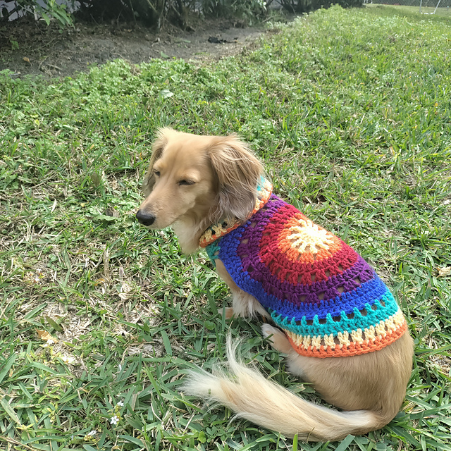 Ravelry: Boho Doxie Dog Vest pattern by Carlinda Lewis