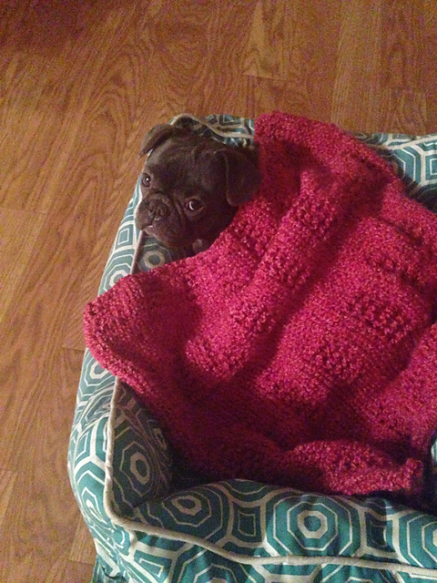 Ravelry: Dog blanket pattern by Carmen Caamaño